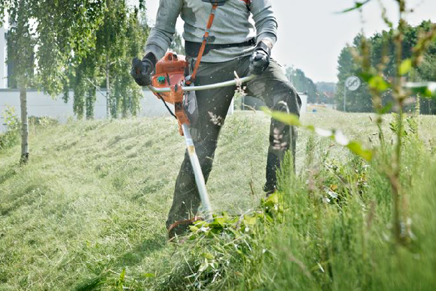 Jernia Sælen - Jernia Sælen